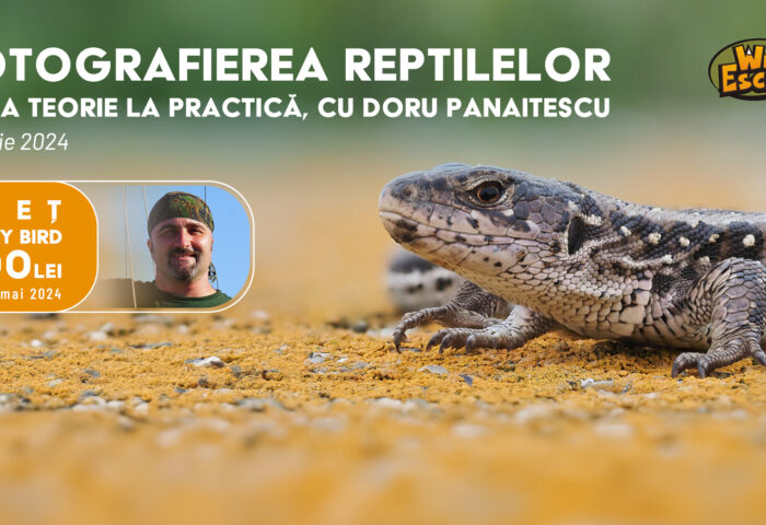 Academia F64 - comunitatea pasionatilor de continut.